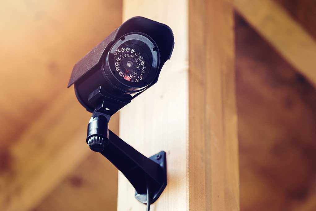 Predator CAUGHT Live—Husband Races Home Instantly | Conservative Sense